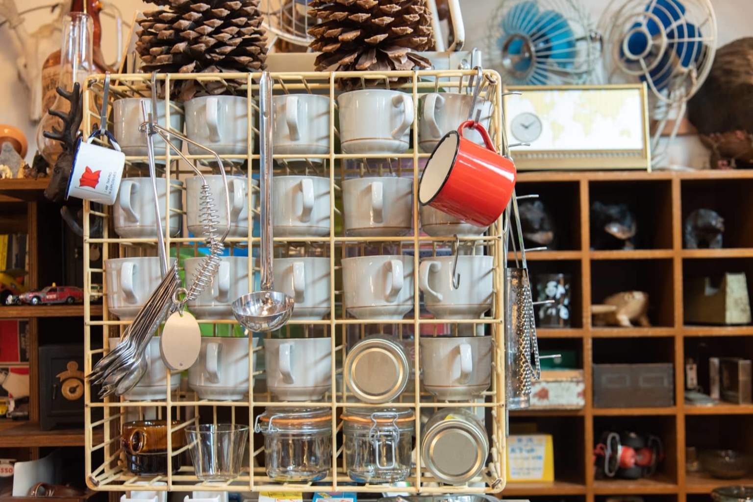 DERMATOGRAPH | 大阪府枚方市の観光情報誌『ひらいろ』