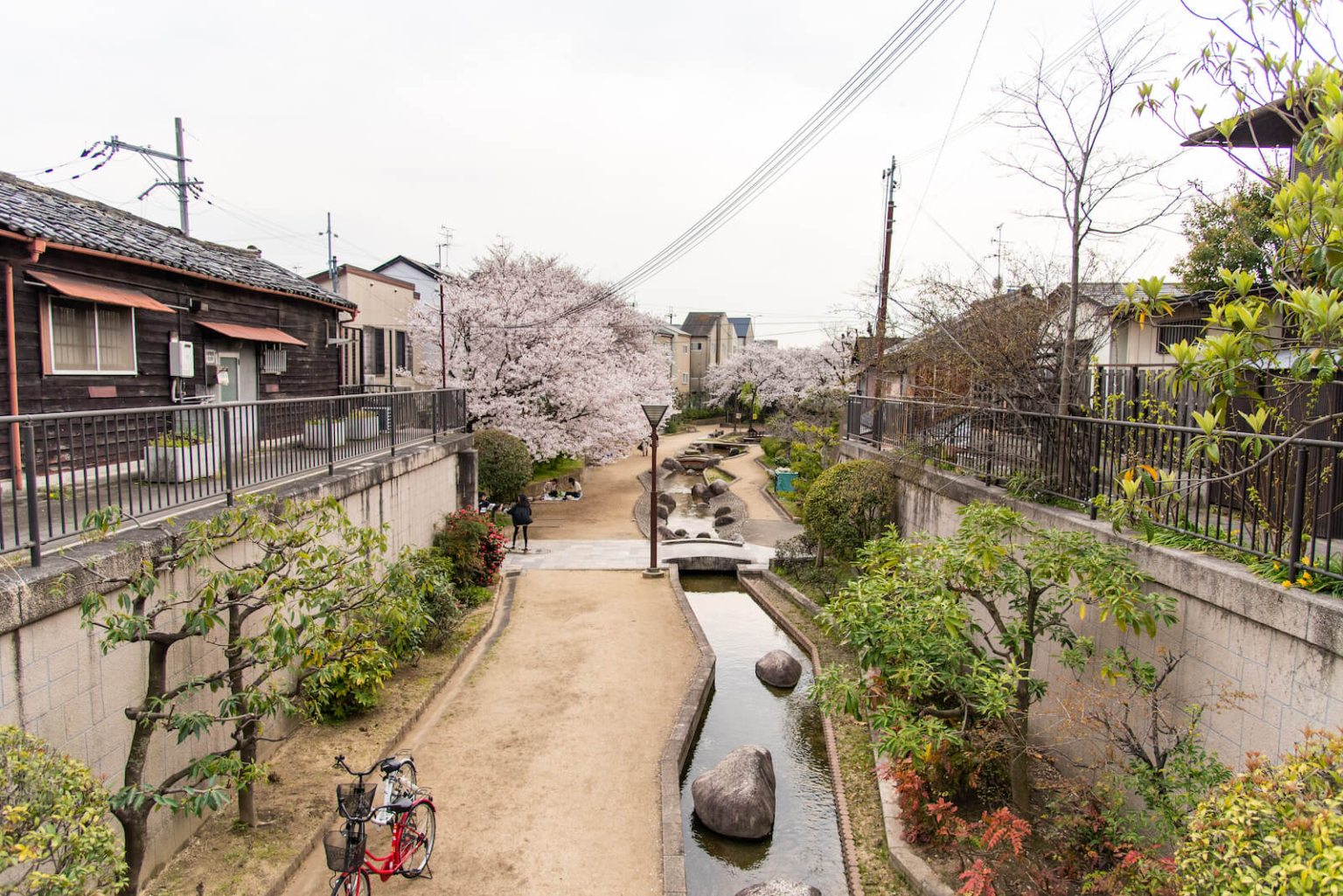見上げて歩く、桜さんぽ。春の枚方のおすすめお花見名所【枚方まとめ】 大阪府枚方市の観光情報誌『ひらいろ』