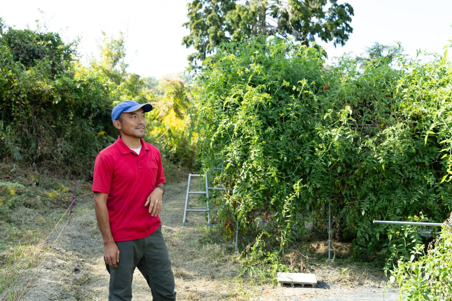 Mani farm | 大阪府枚方市の観光情報誌『ひらいろ』