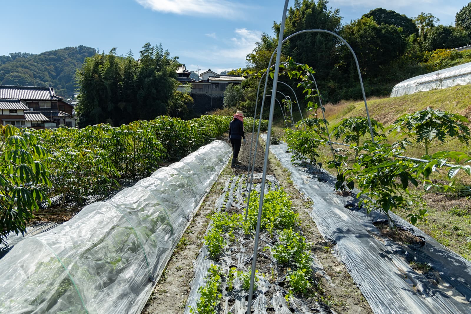 Mani farm | 大阪府枚方市の観光情報誌『ひらいろ』