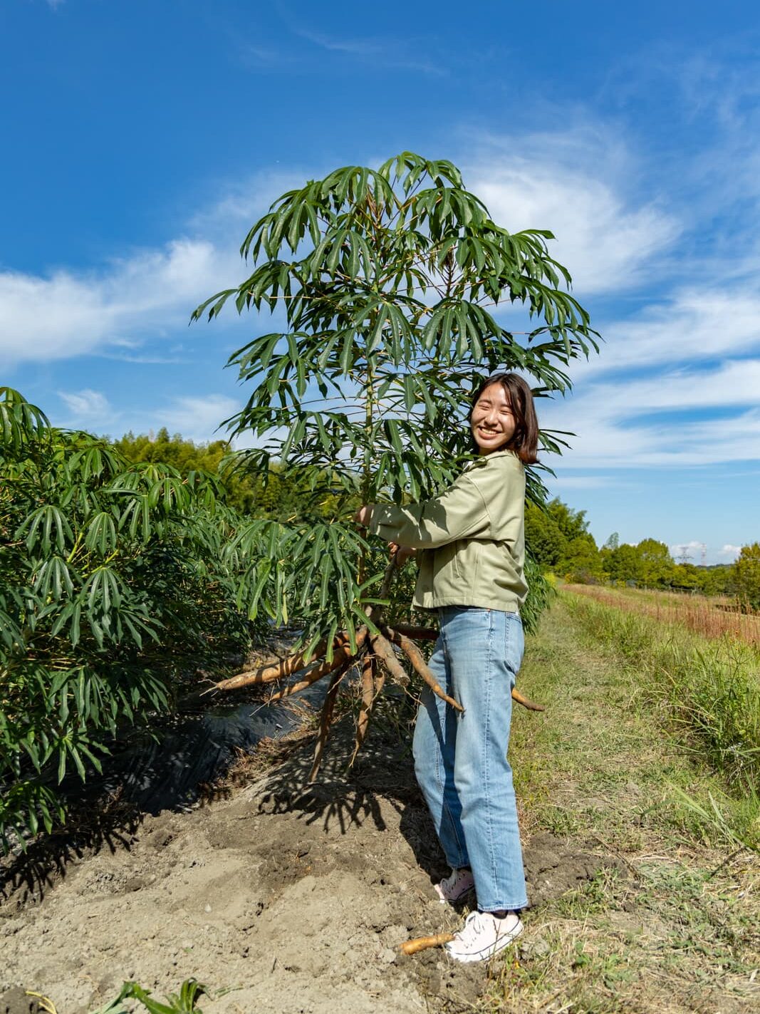 Mani farm | 大阪府枚方市の観光情報誌『ひらいろ』