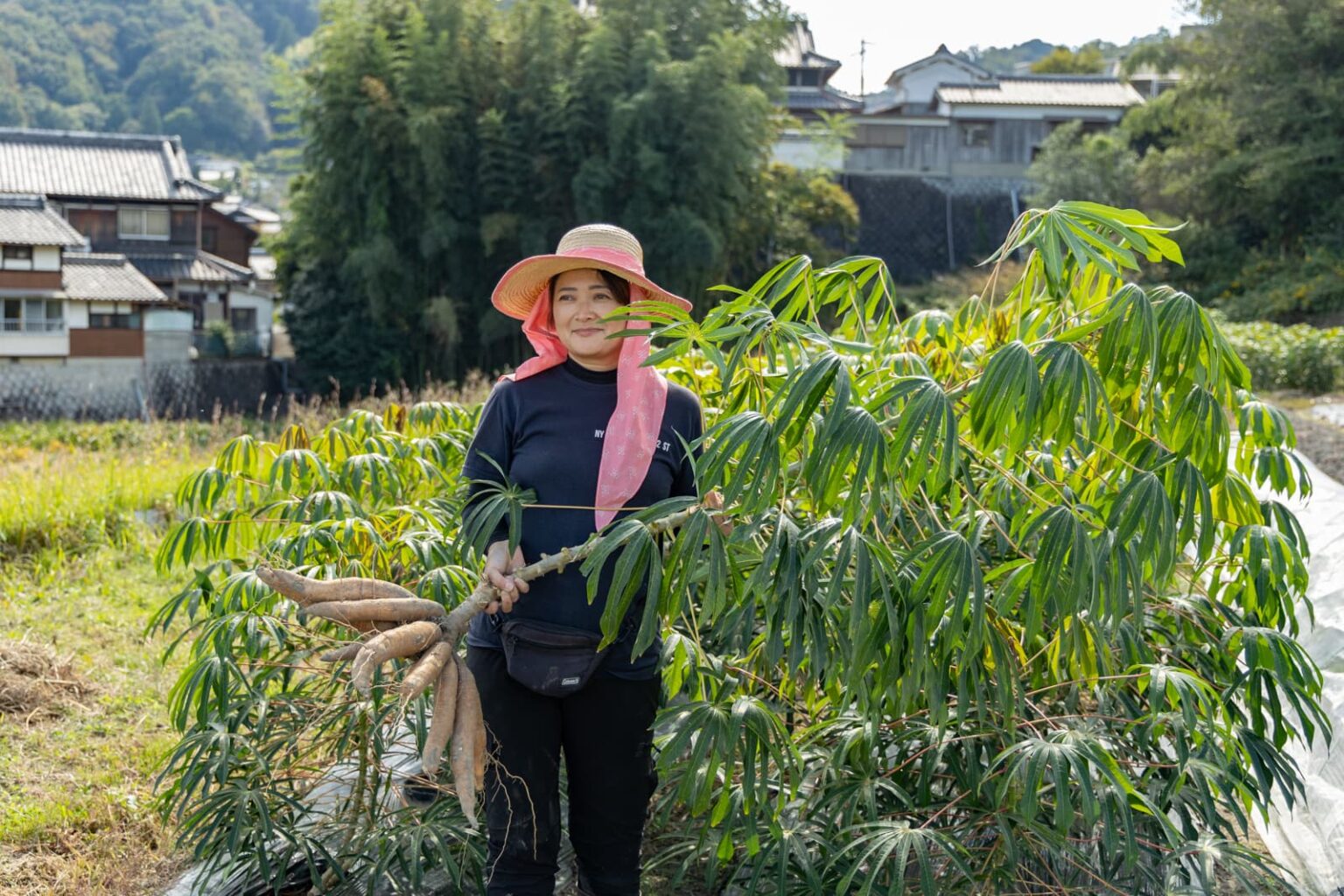 Mani farm | 大阪府枚方市の観光情報誌『ひらいろ』